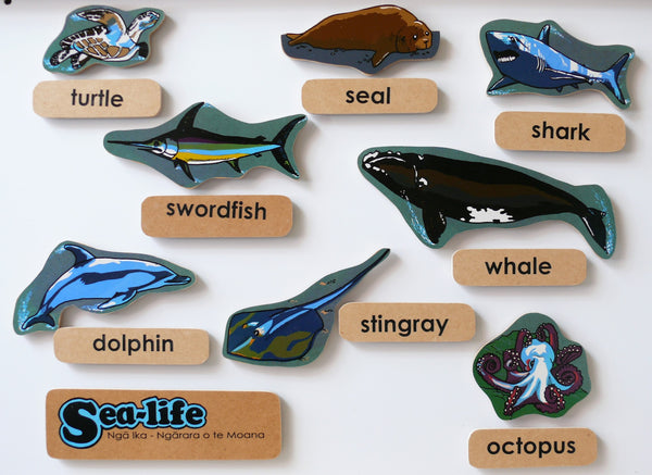 Sea Life Words and Pictures Magnetic | Amezi.co.nz | Baby Products ...